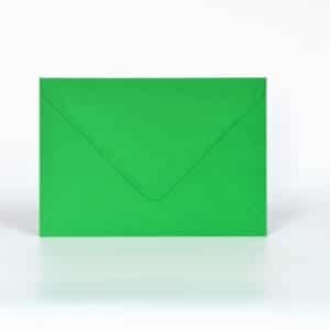 Plic colorat C6 verde padure - Indigo